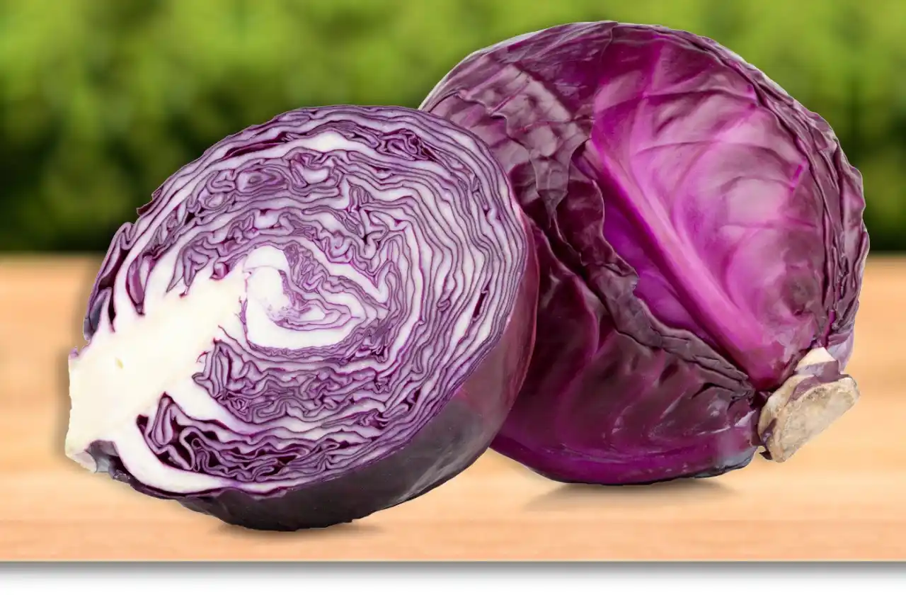Repollo Morado: Nutrición, Recetas y Beneficios | Orbes